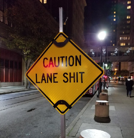 lane-shit-3 - CohenConnect.com Florida crime news CohenConnect